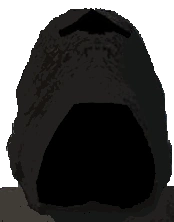 The Lhikan | Custom BIONICLE Wiki | Fandom