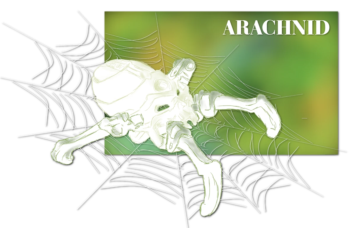 Arachnid (Story) | Custom BIONICLE Wiki | Fandom
