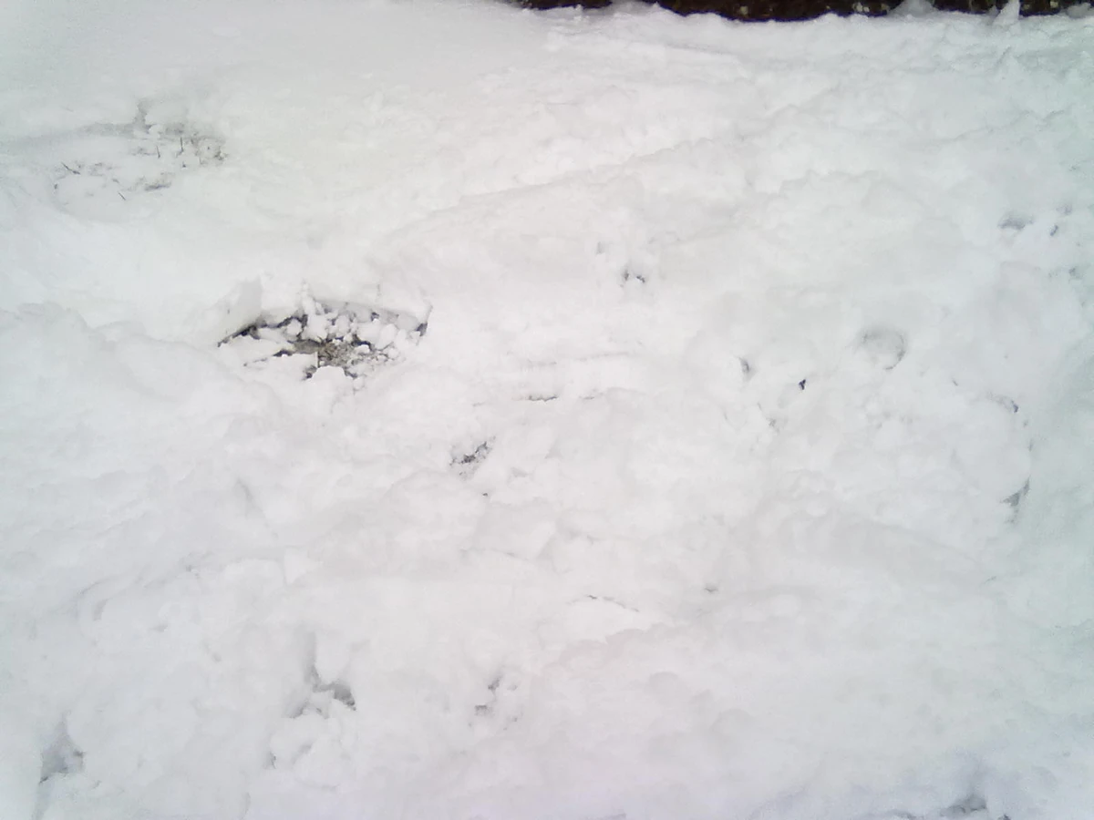 User blog:Toa 95/SNOW! | Custom BIONICLE Wiki | Fandom