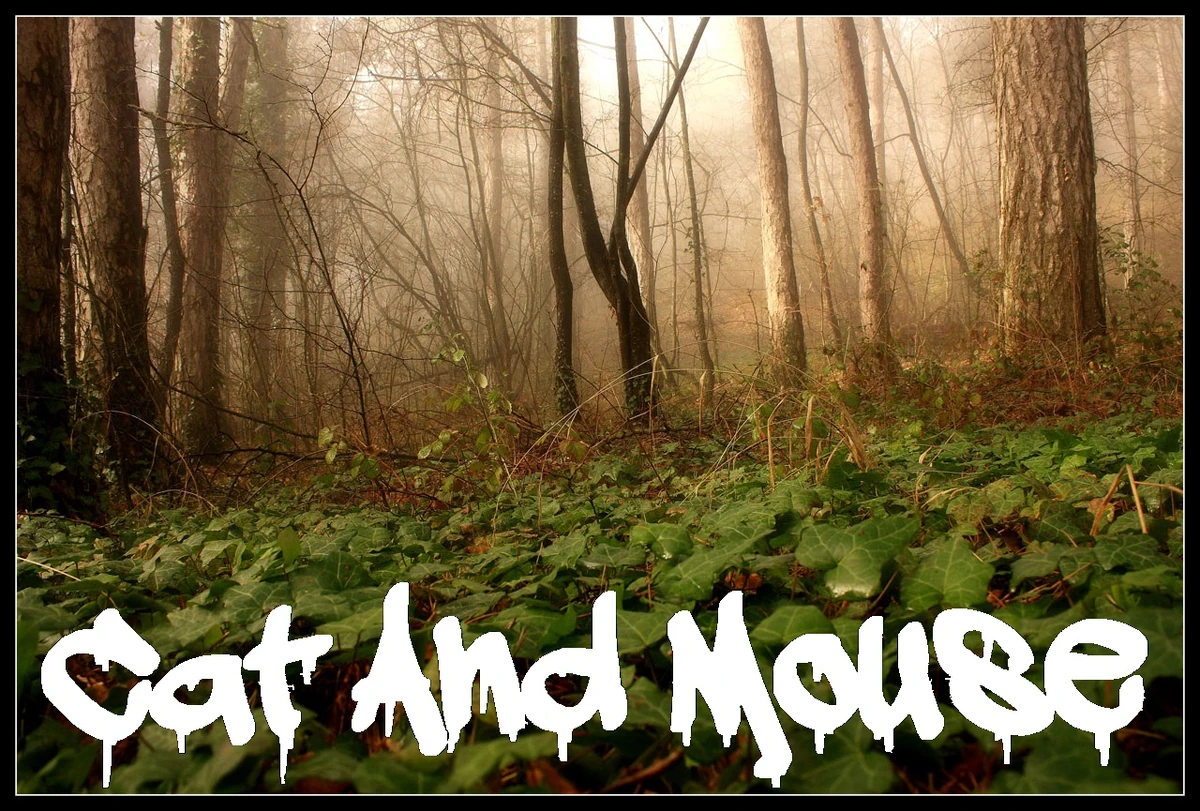 Cat and Mouse | Custom BIONICLE Wiki | Fandom