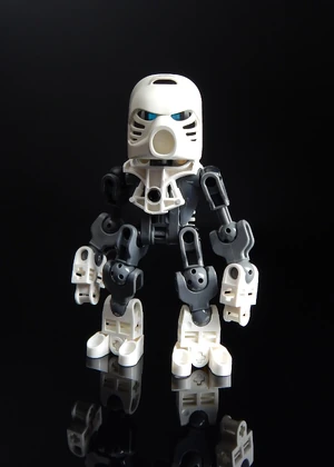 Kanahu | Custom BIONICLE Wiki | Fandom