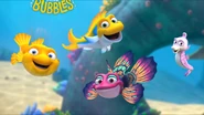 Stella the Storyteller | Custom Time Warner Cable Kids Wiki | Fandom