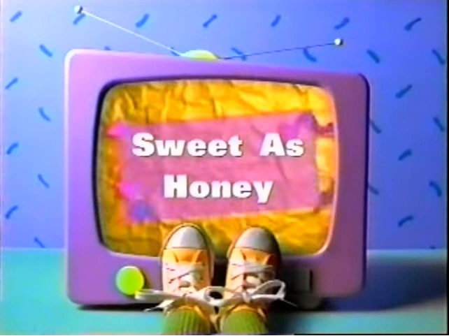 Opening and Closing to Barney: Sweet as Honey (2002 Paramount Home ...