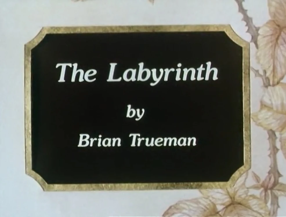 The Labyrinth | Cute and Cuddly Wiki | Fandom