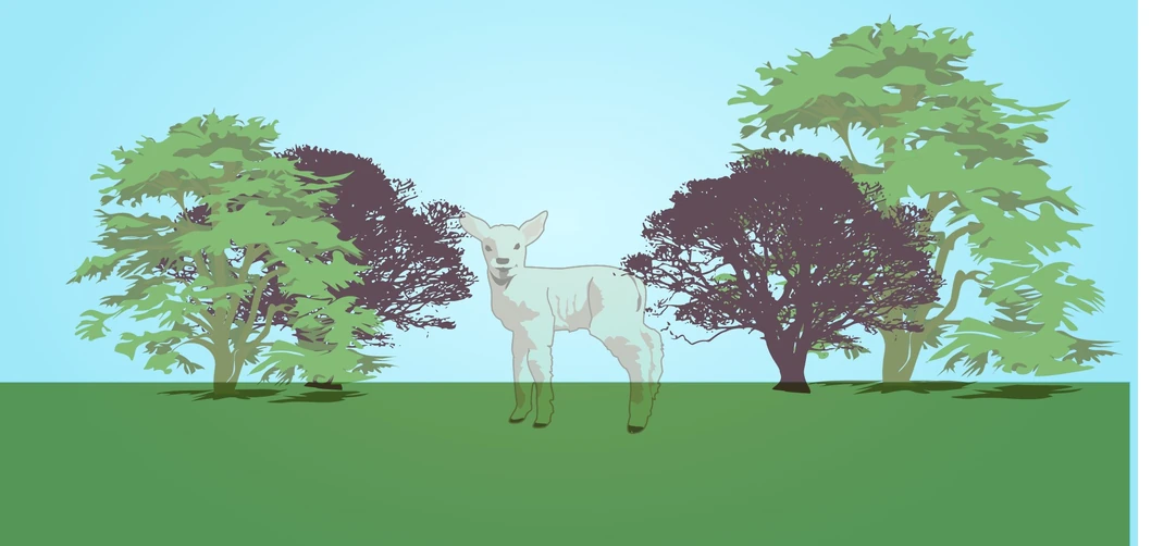 Ghost sheep | Cute horror! Wiki | Fandom