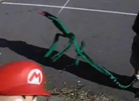 The Lizard of Doom | Cute Mario Bros. Wiki | Fandom