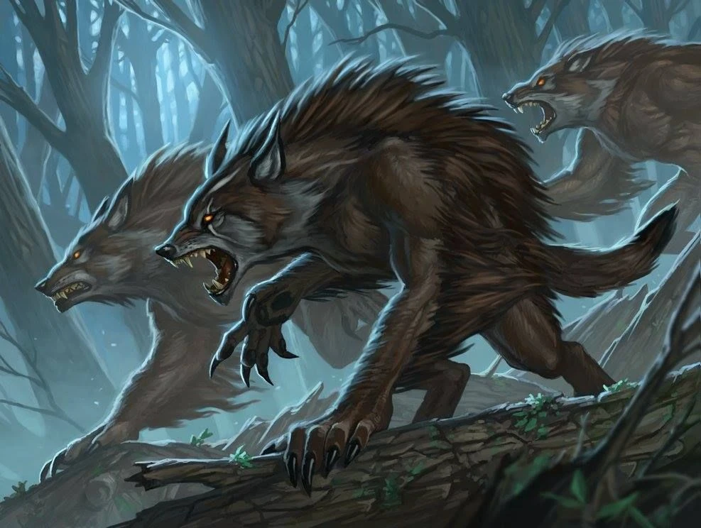 Human Werewolf Art