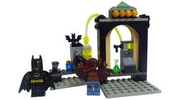 Batman: Man-Bat's Lab | Cuusoo Wiki | Fandom