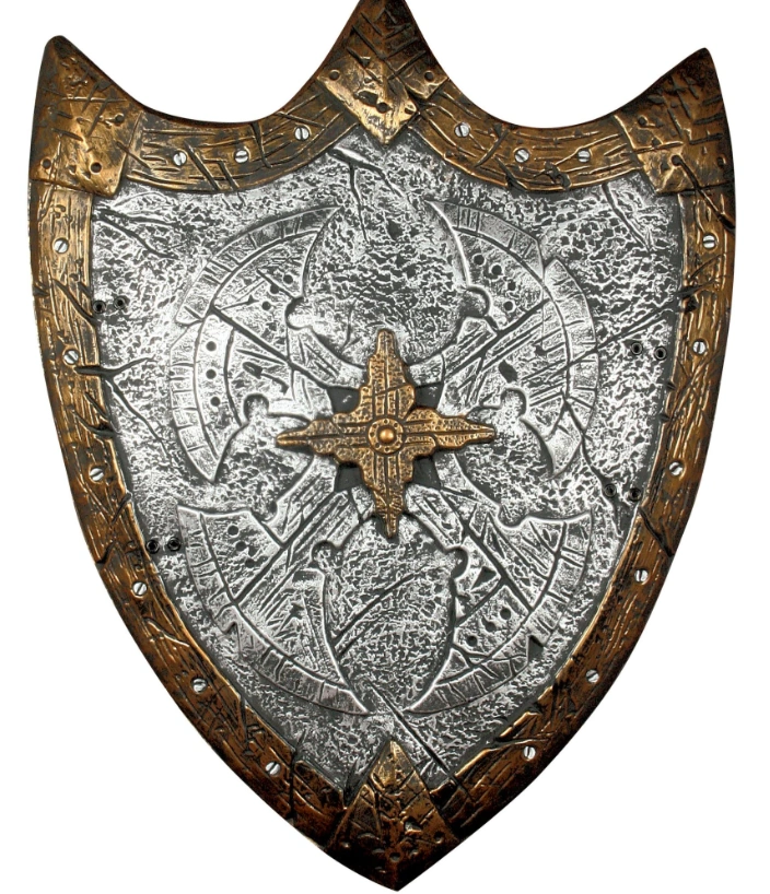 Chain Shield | Champion Victories, River Lilies, Rose Thorns and Viking ...