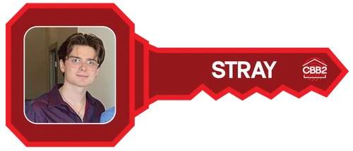 Stray | Cyber Big Brother Wiki | Fandom