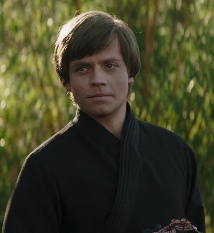 Luke Skywalker Cybermeta Fanon Wiki Fandom