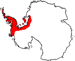 Beta Cygni | Cyber Nations Wiki | Fandom