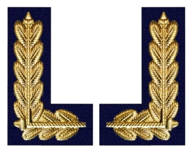 Ranks of the Deutsches Reichswehr | Cyber Nations Wiki | Fandom