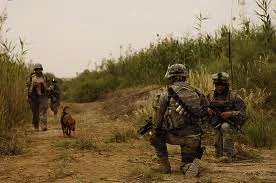 Armed Forces of the Deltoran Republic | Cyber Nations Wiki | Fandom