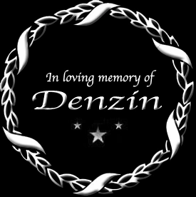 Denzin | Cyber Nations Wiki | Fandom