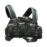 Border Guard tactical vest | Cyberpunk Wiki | Fandom