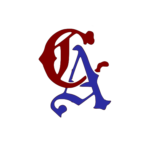 Constitutional Arms | Cyberpunk Wiki | Fandom