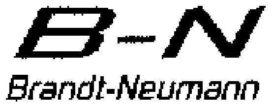 Brandt-Neumann | Cyberpunk Wiki | Fandom