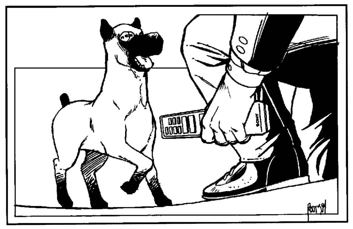 Digital Watchdog | Cyberpunk Wiki | Fandom