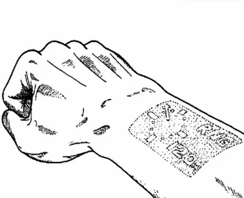 Subdermal Viewscreen | Cyberpunk Wiki | Fandom