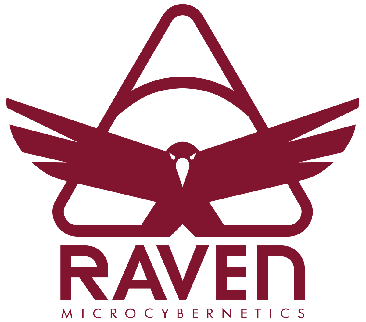 Raven Microcybernetics | Cyberpunk Wiki | Fandom