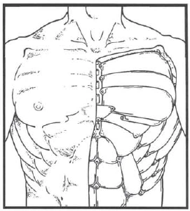 Dynalar Gradiated Subdermal Armor (Torso) | Cyberpunk Wiki | Fandom