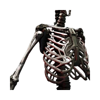 Epimorphic Skeleton | Cyberpunk Wiki | Fandom