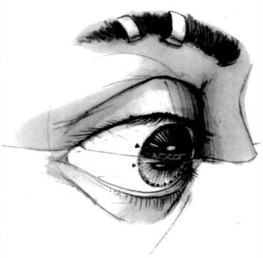 Nikkon America Double-Slit Pupils | Cyberpunk Wiki | Fandom