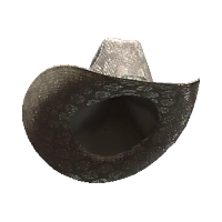 Modified snake-skin cowboy hat | Cyberpunk Wiki | Fandom