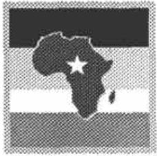 Pan-African Alliance | Cyberpunk Wiki | Fandom