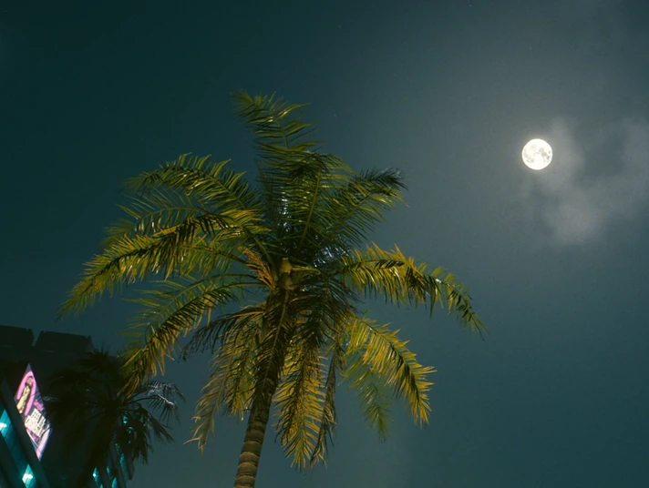 Mystery: The Moon | Cyberpunk Legends Wiki | Fandom