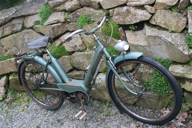 Follis | Wiki Cyclo | Fandom