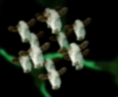 Cow Molecules | Cyriak Wiki | Fandom