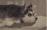 JOE | Cytus Wiki | Fandom