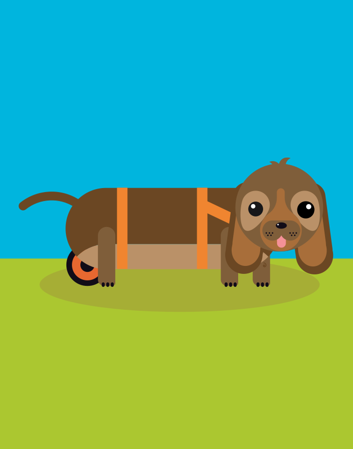 Triog | Cyw Wiki | Fandom