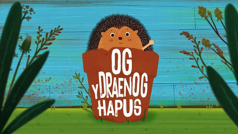 Og Y Draenog Hapus | Cyw Wiki | Fandom