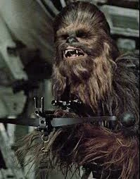 Chewbacca | Czechfanstarwars Wikia | Fandom