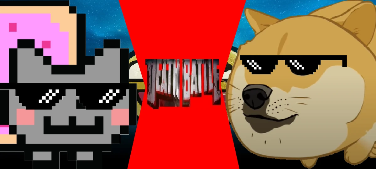 Nyan cat vs doge | D b death battle Wiki | Fandom