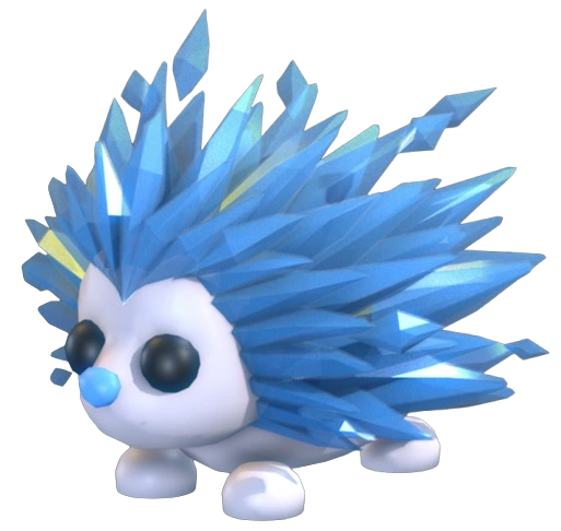Can I afford a hedgehog? Heck no! Am I going to attempt to stock up on ...
