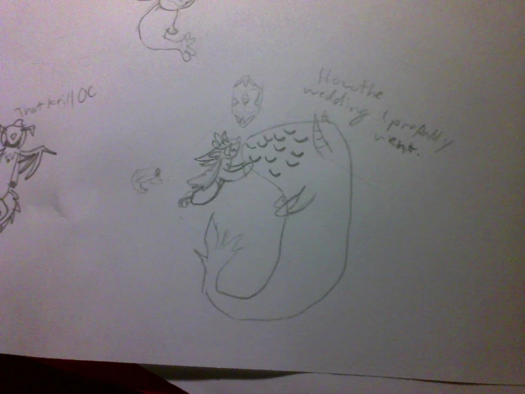 More random stuff lol | Fandom