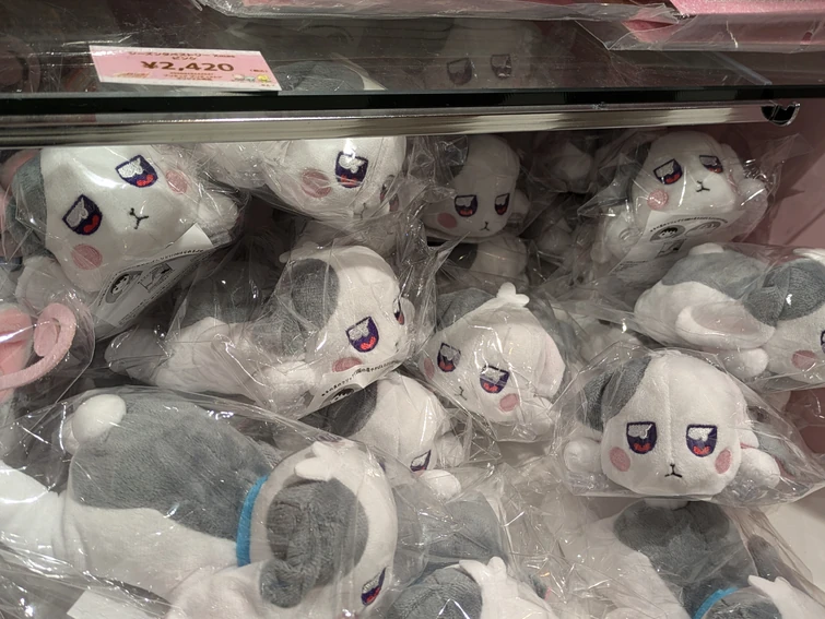 I'm currently in line with over 100 people at the Pretty Store Tokyo ...