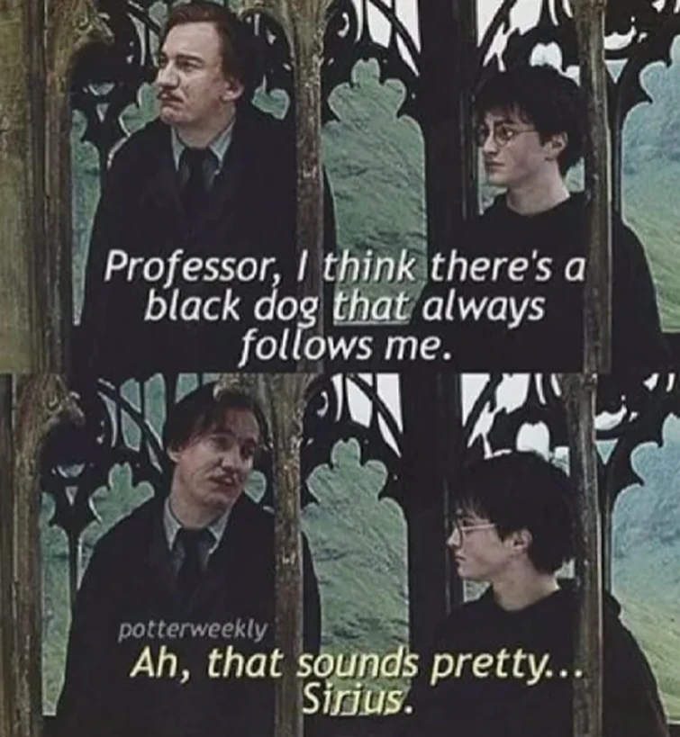 huge hp meme dump | Fandom