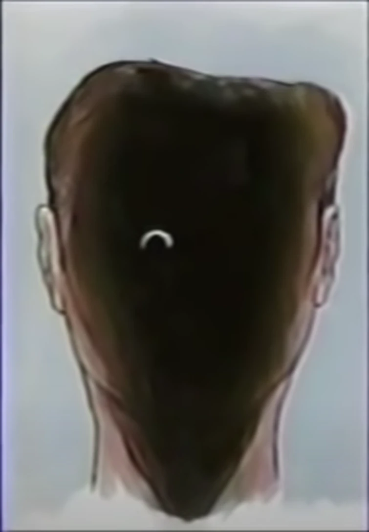 Based on these images, how are you feeling? | Fandom