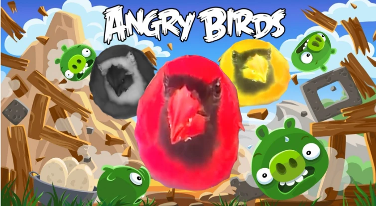 Realistic Angry birds | Fandom