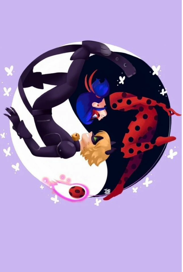 Lady bug and cat noir | Fandom