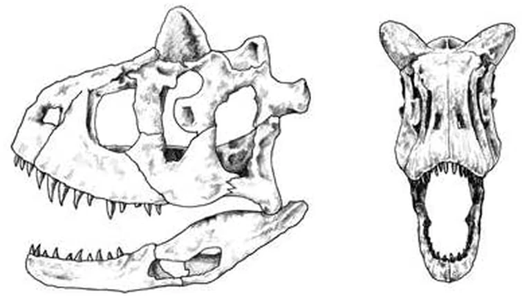 Carnotaurus was a? | Fandom