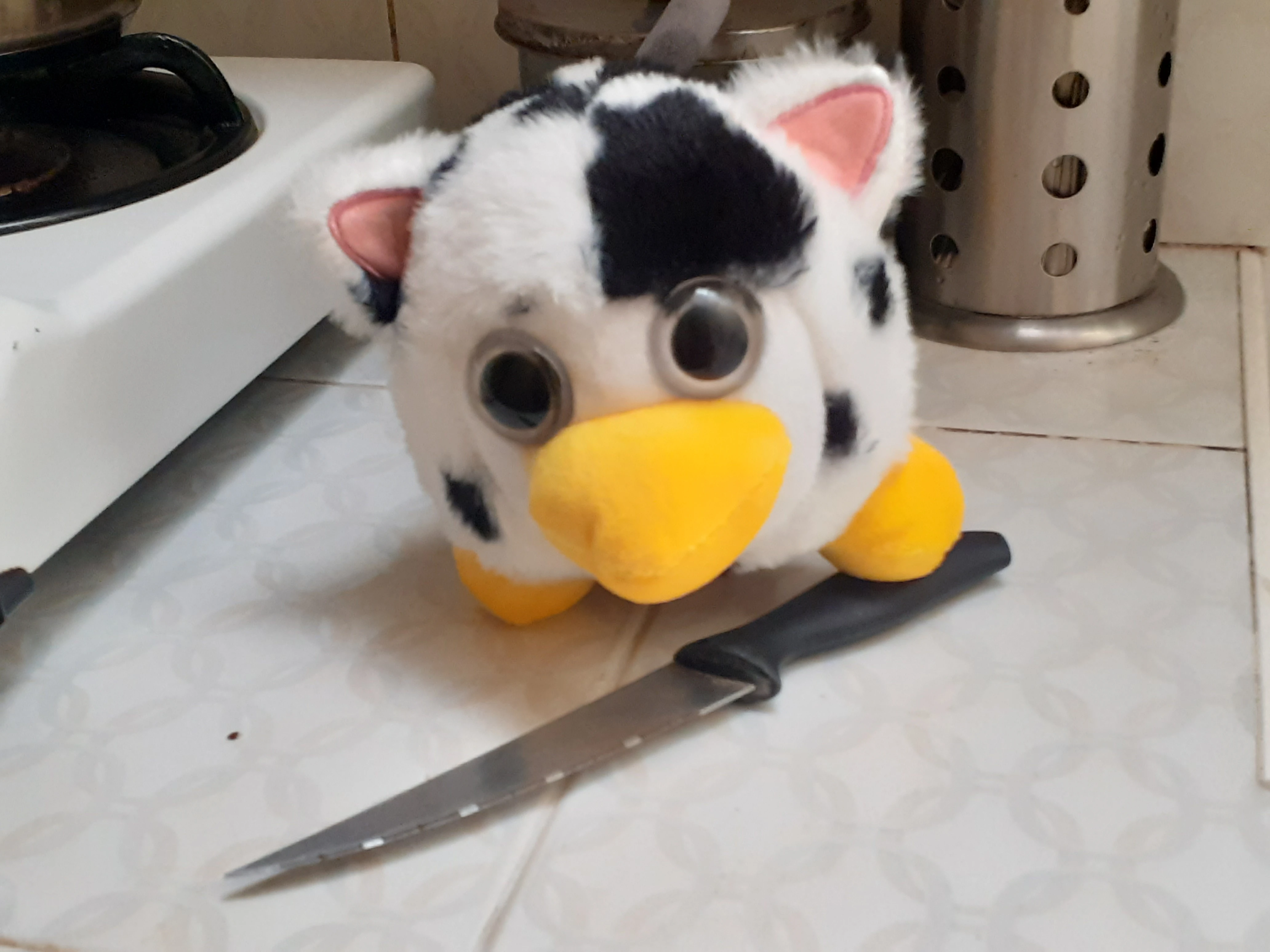 PEEPY NO | Fandom