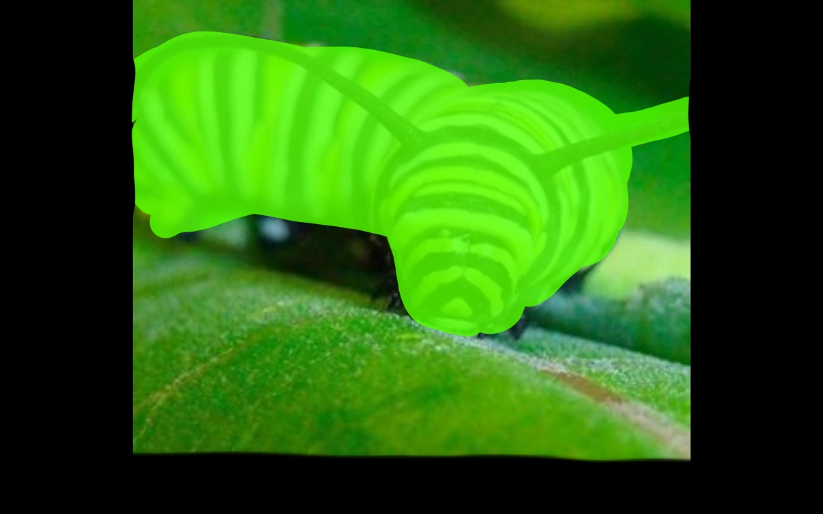 Wormy (Character) is Real Life | Fandom