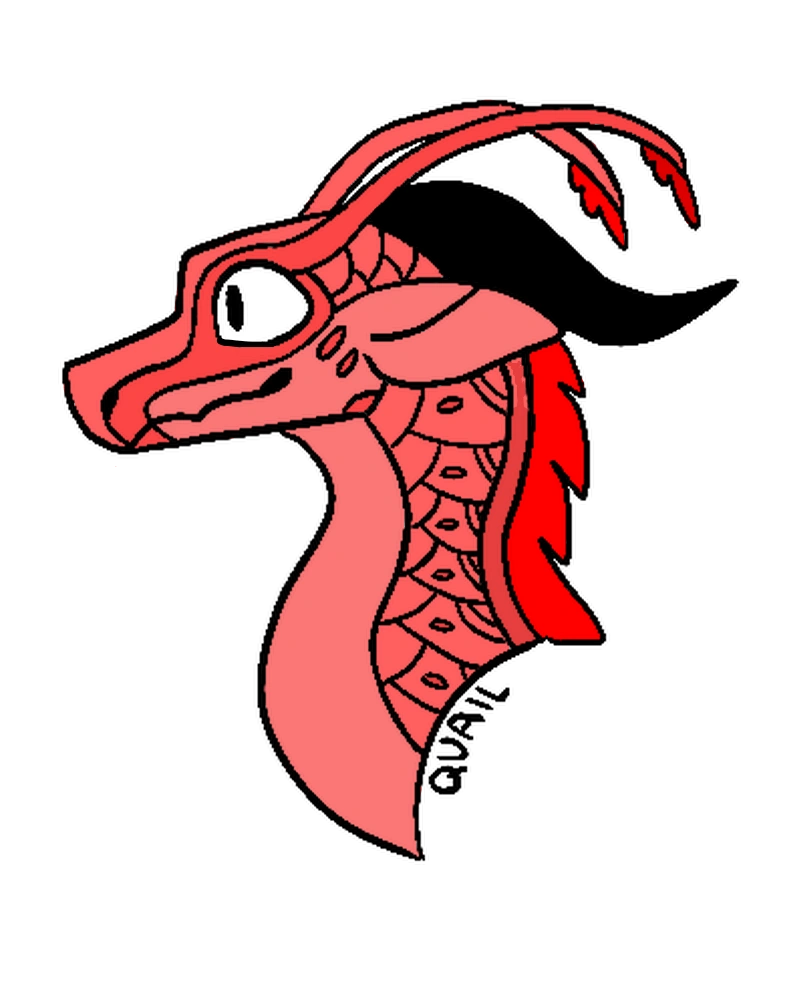 basefill raffle! | Fandom