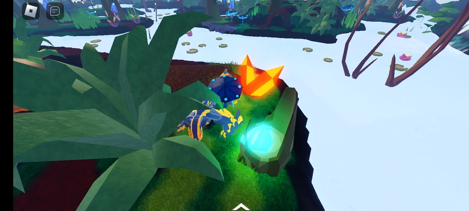 weird shells... | Fandom